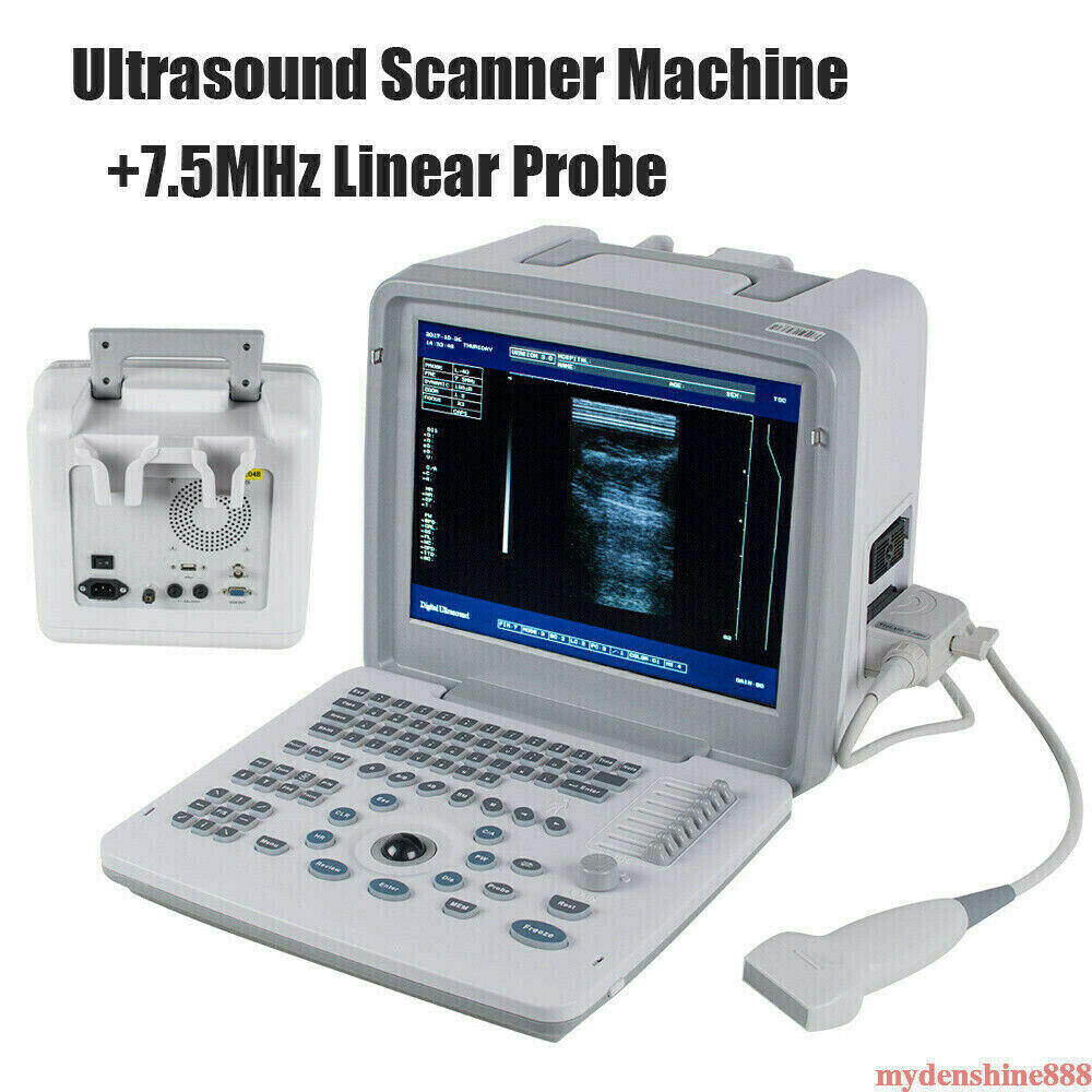 12" Digital Ultrasound Scanner Machine System Convex Transvaginal Line ...
