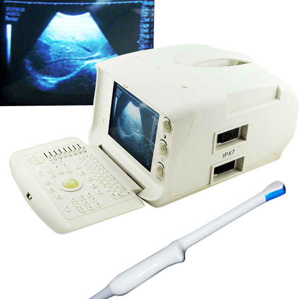 CE Medical Transvaginal Probe,Portable Ultrasound Scanner Machine 3D