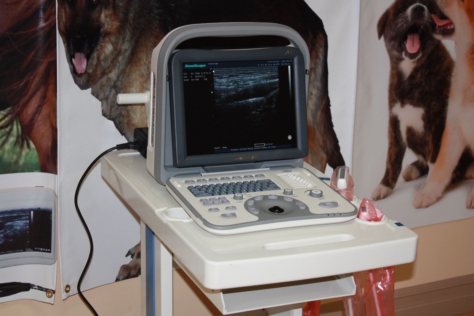 Veterinary Ultrasound-Best Selling Equine/Bovine Machine & Rectal